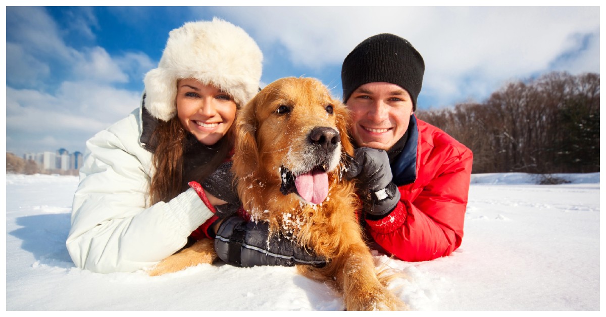 5 Essential Dog Care Tips - Part 2 - My Daily Pet